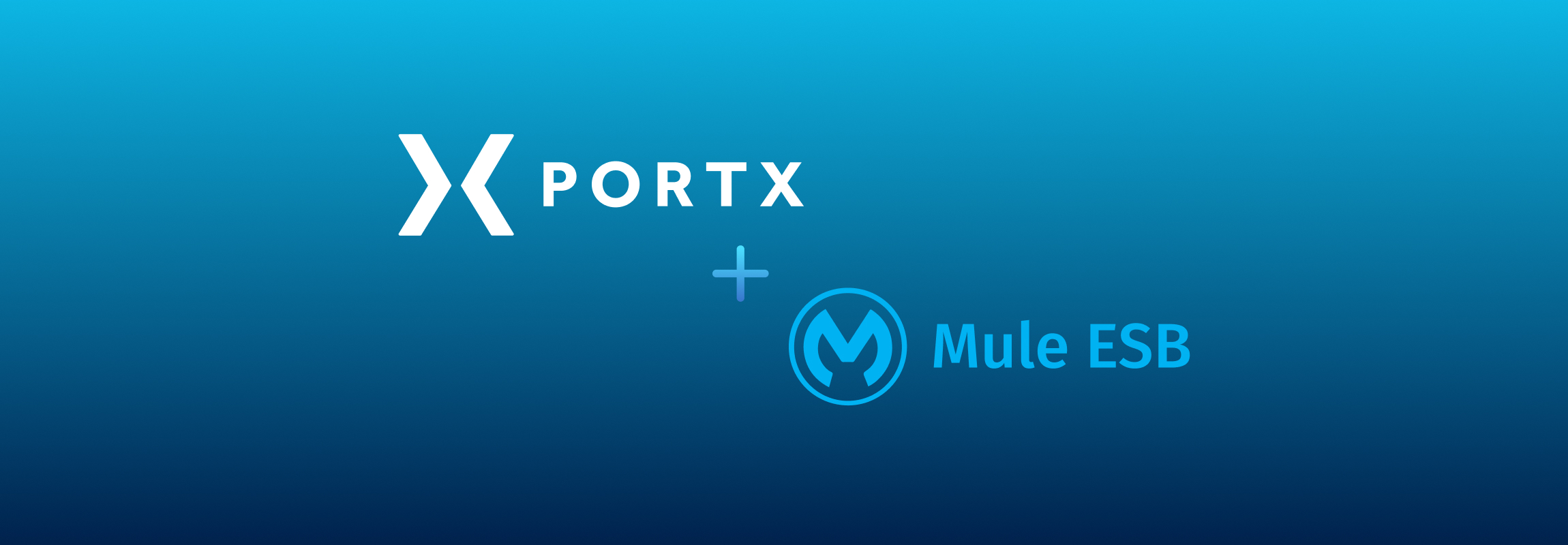 PortX B2B and Payment Management Tools Now Support Mule ESB Runtime ...